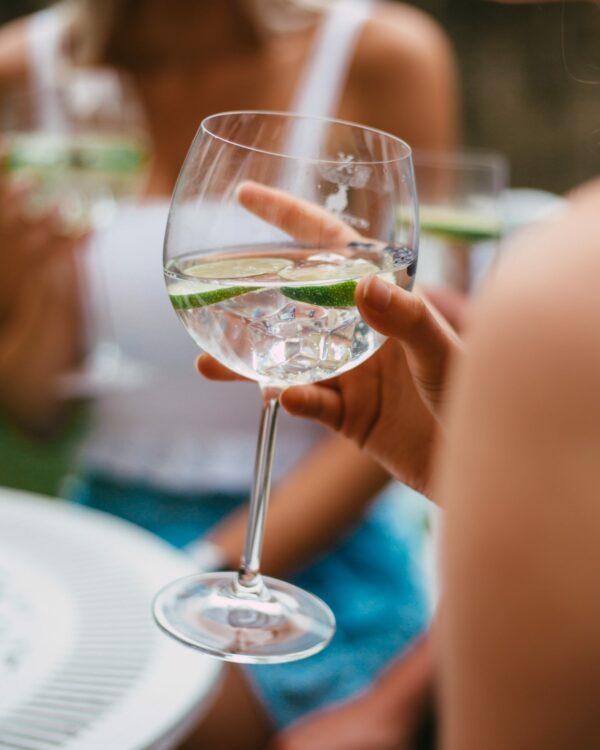 50 Gin Fun Facts That Will Blow Your Mind - Exmoor Distillery Ltd